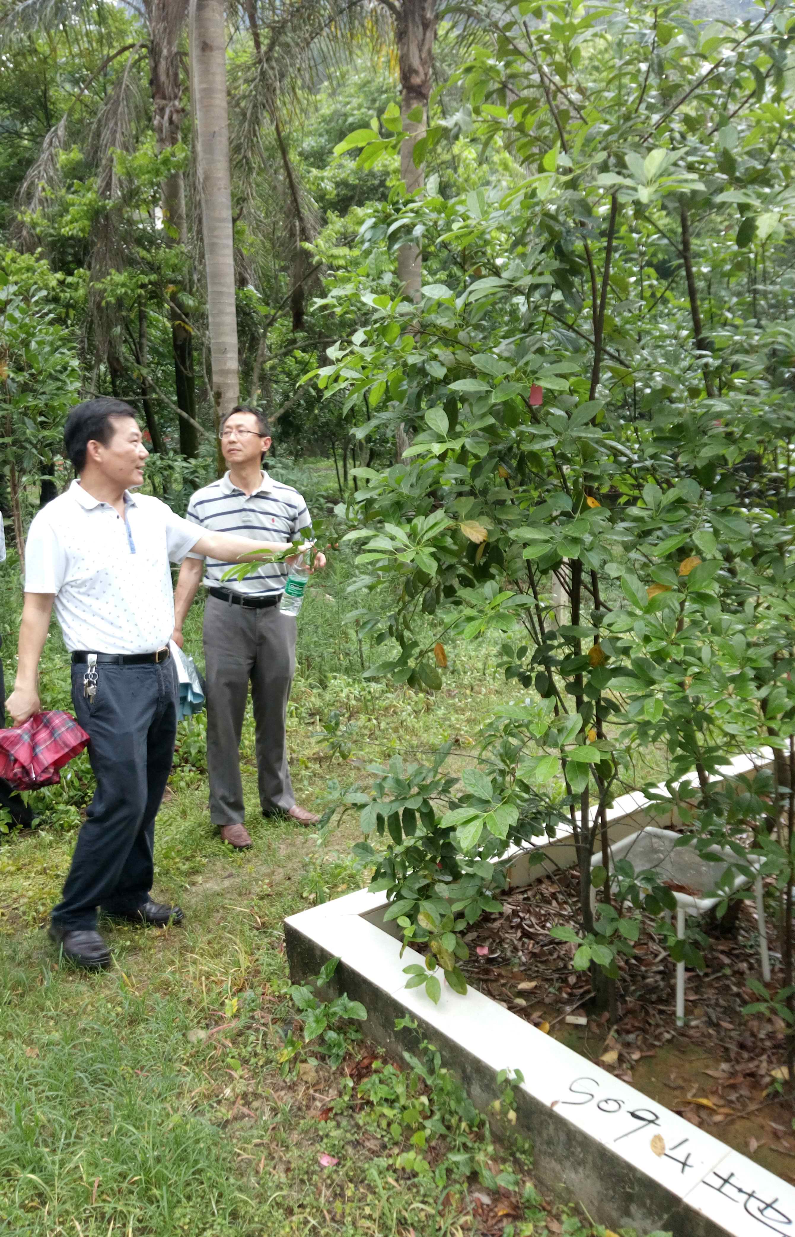 广东鼎湖山森林生态系统国家野外科学观测研究站