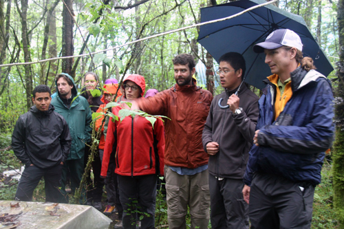 国家生态系统观测研究网络